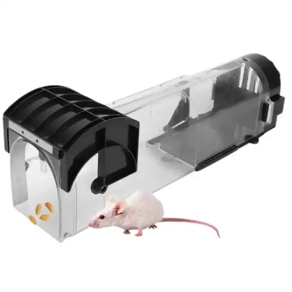 De 7 Beste Muizenvallen van 2024 Volgens Experts